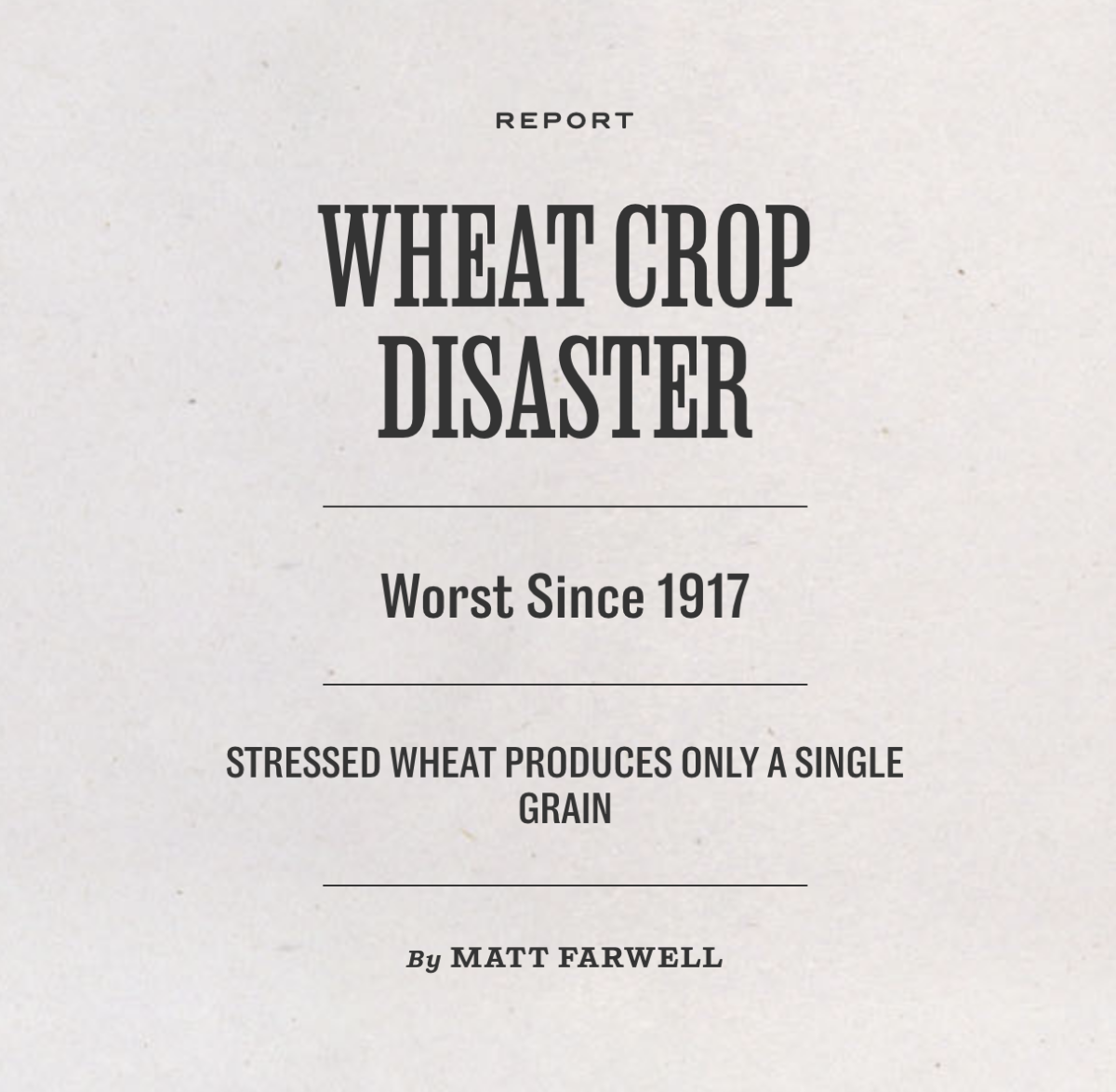 Wheat Crop Disaster – County Highway